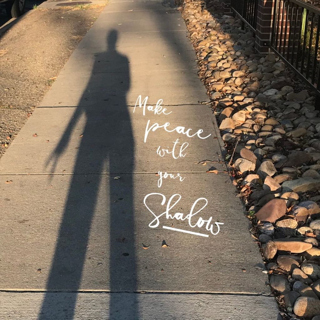 Make Peace with your Shadow | Sarah Zeren
